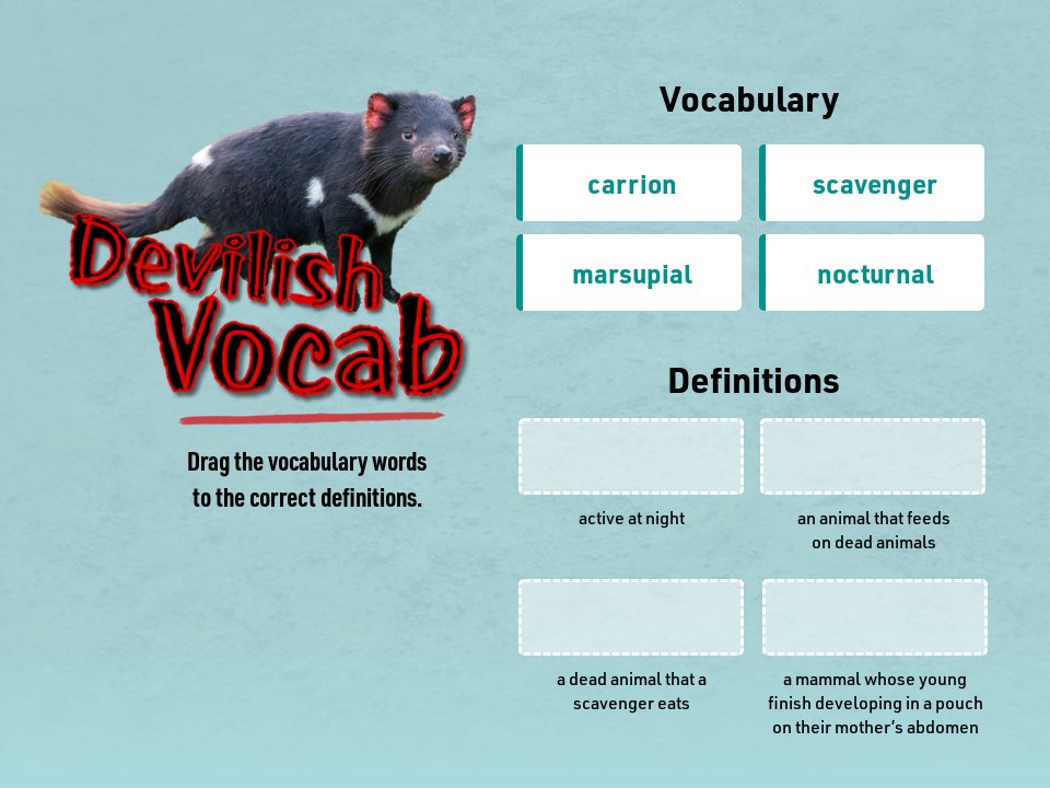 Activity - Pathfinder November/December 2020