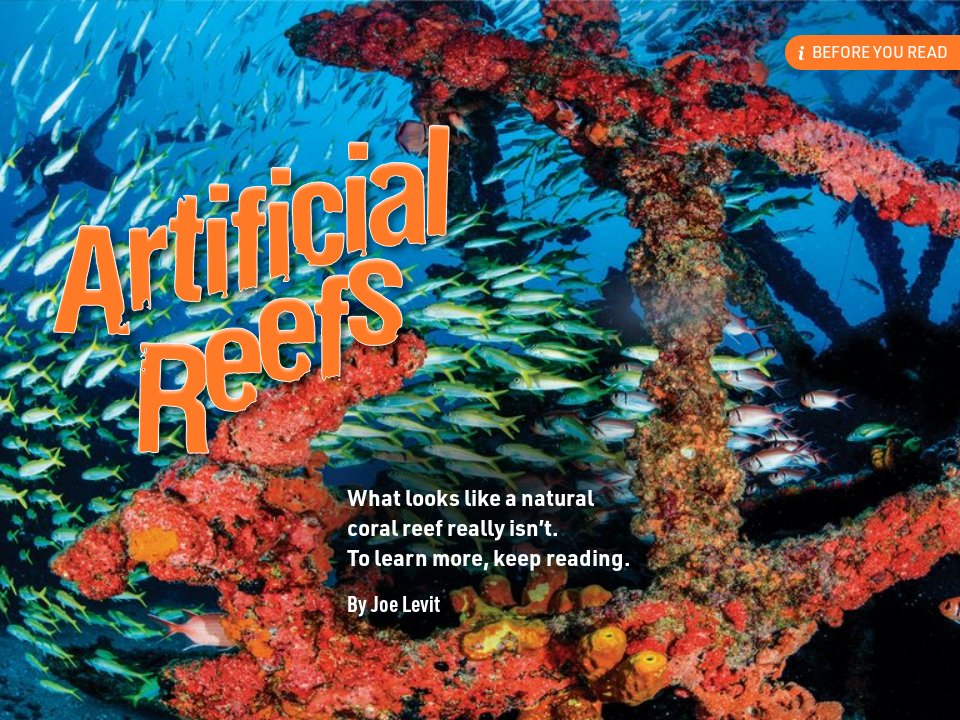 Artificial Reefs - Pathfinder November/December 2020