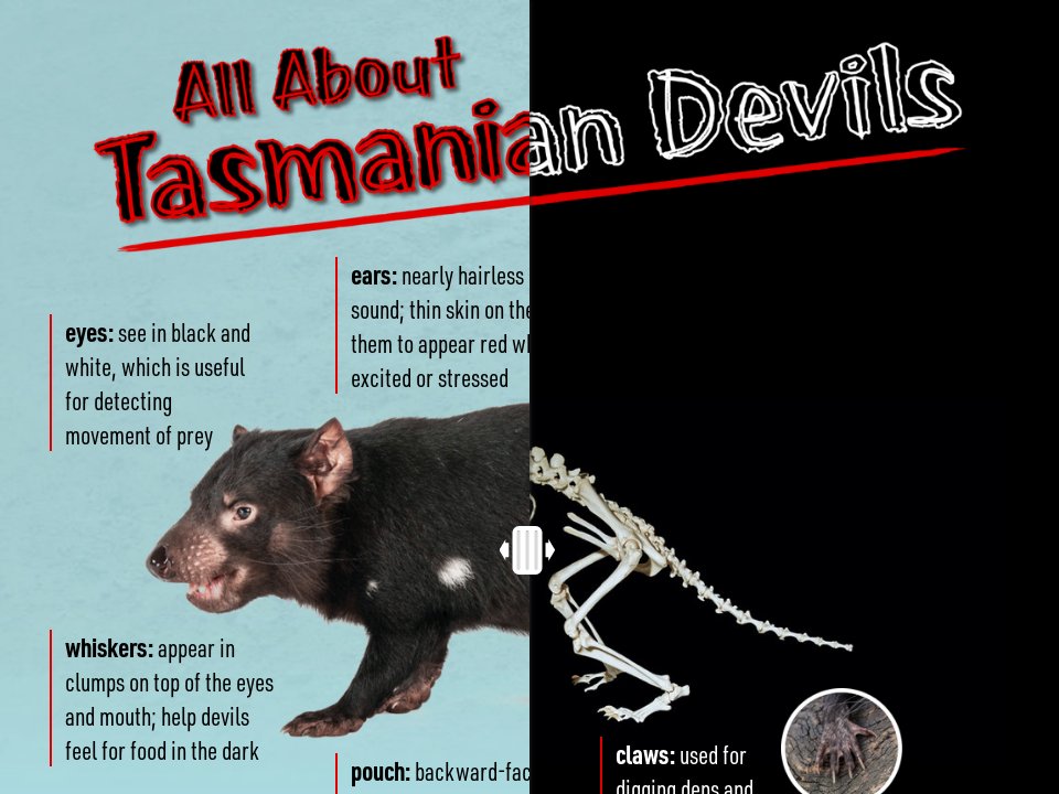 What the Devil! 3 - Pathfinder November/December 2020