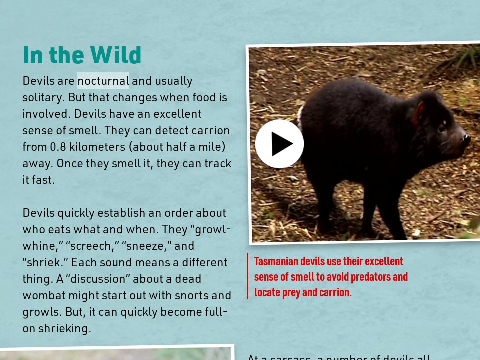 What the Devil! 4 - Pathfinder November/December 2020