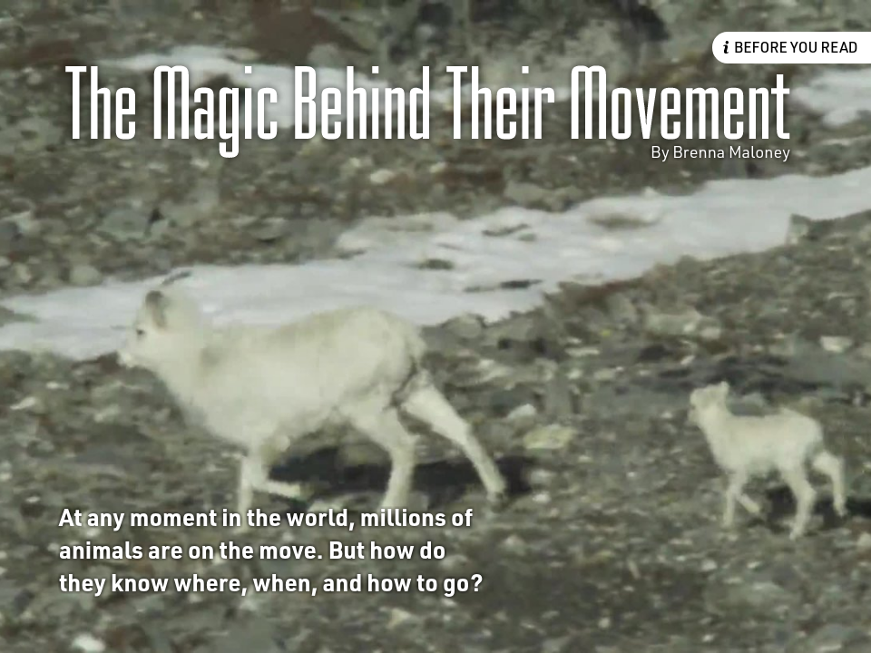 The Magic Behind Their Movement - Pathfinder October 2018