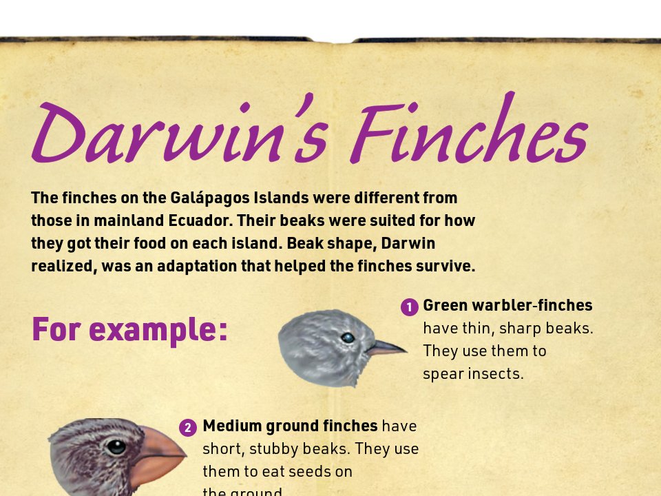 Galápagos The Islands - Pathfinder October 2019