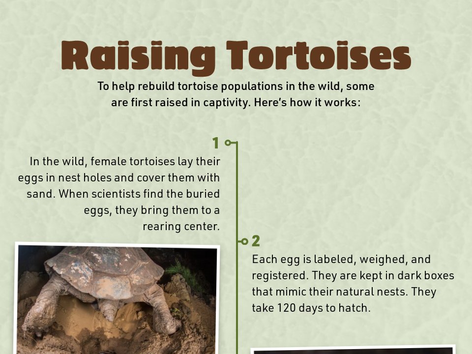Raising Tortoises & Keeping the Peace - Land of the Giants - Pathfinder ...