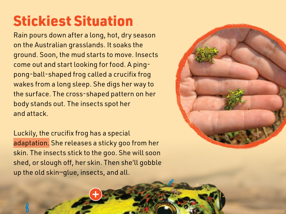 Extreme Animals - Stickiest Situation - Pathfinder September 2018