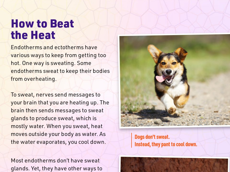 In This Issue - Pathfinder September 2019