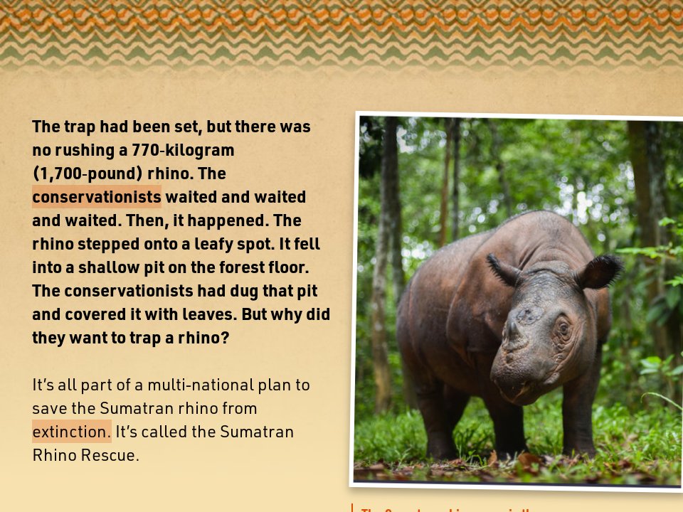 Rhinos in Trouble & A Rescue Plan - Rhino Rescue - Pathfinder September ...