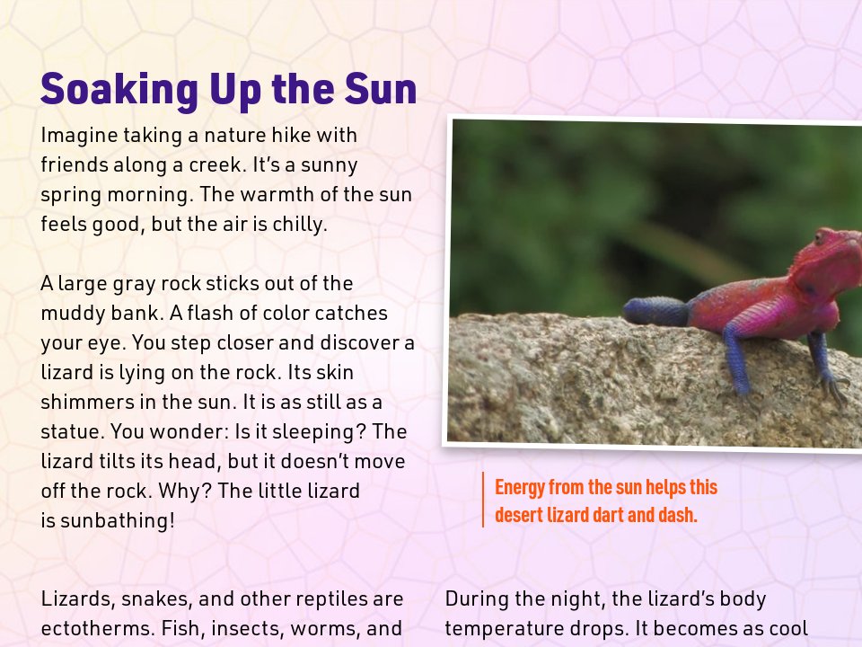 Soaking Up the Sun, Heat From the Inside & What’s In a Name? - Warm Up ...