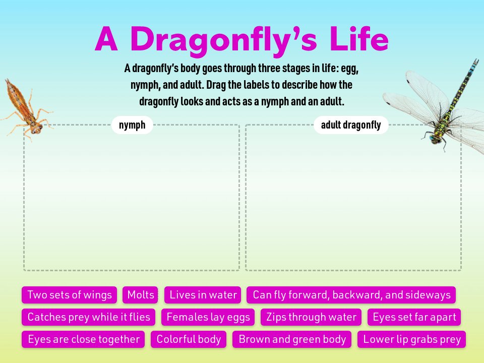 Rethinking Spinosaurus - Pathfinder September/October 2020
