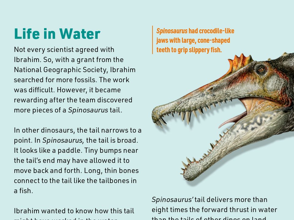 Rethinking Spinosaurus - Pathfinder September/October 2020