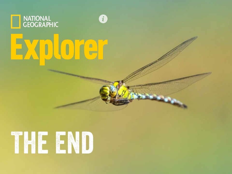 On the Trail, Discovery!, Building the Beast & Making a Model ...