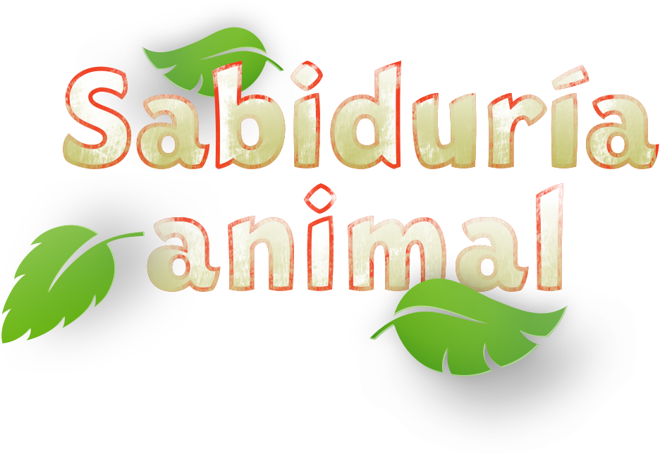 Símbolos De Sabiduría Animales Elegante Símbolo De Ancestral