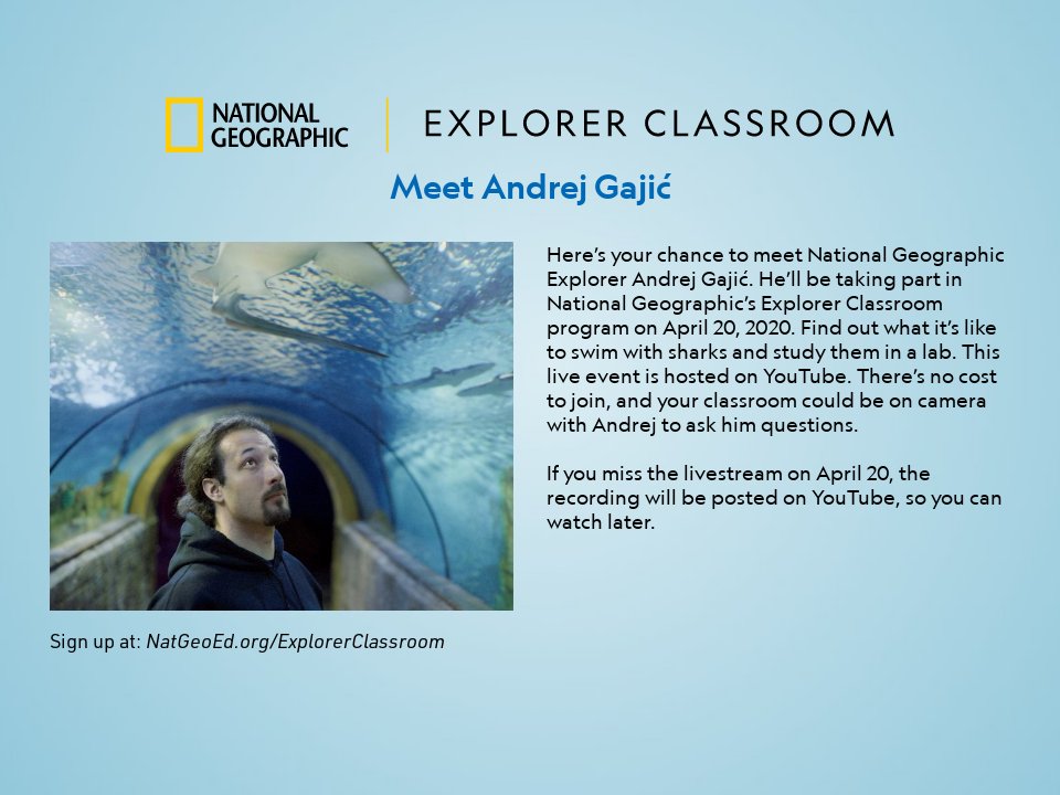 Explorer Classroom - Pioneer April 2020