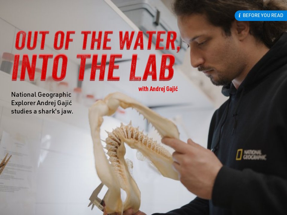 Explorer Classroom - Pioneer April 2020