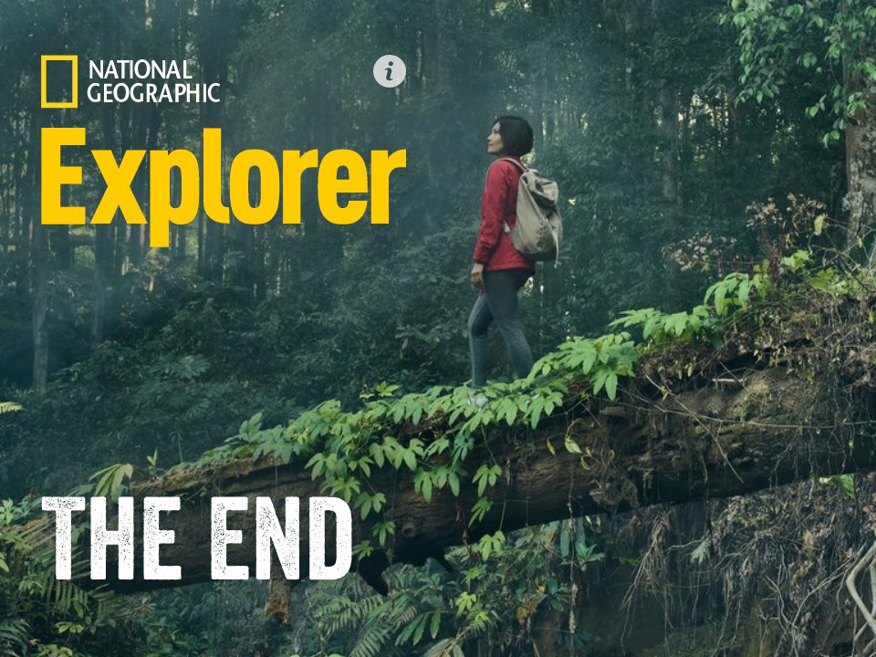 The End - Digging Up History PIO