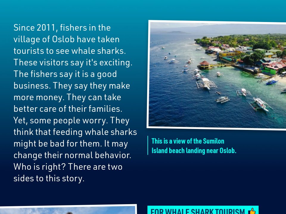 The End - Whale Sharks PIO