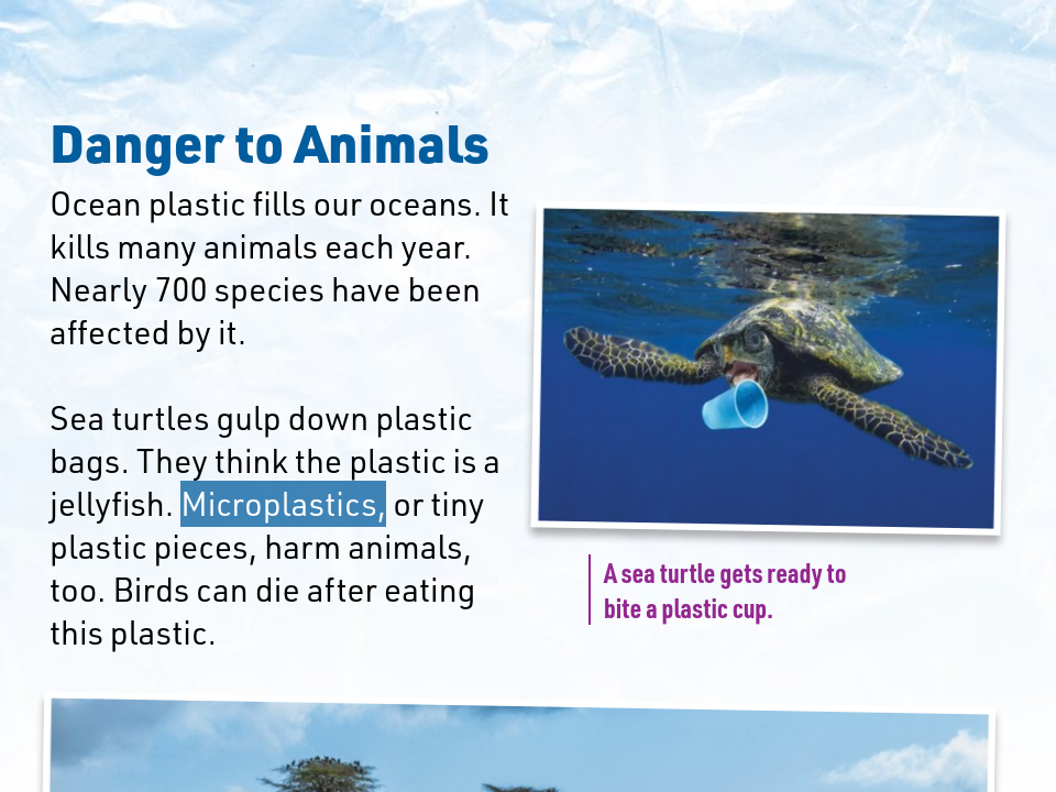 Poop - The Scoop on Poop - Pioneer May 2019