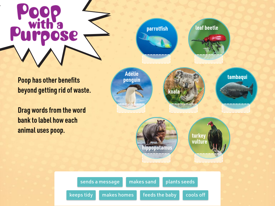 Poop - The Scoop on Poop - Pioneer May 2019