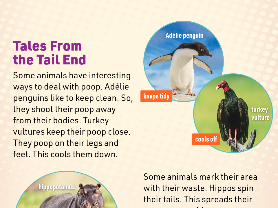 Poop - The Scoop on Poop - Pioneer May 2019