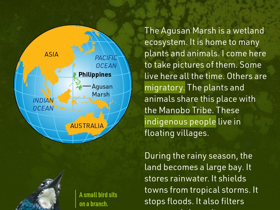 Marshland Dangers & Strength in Community - Protecting the Marsh ...