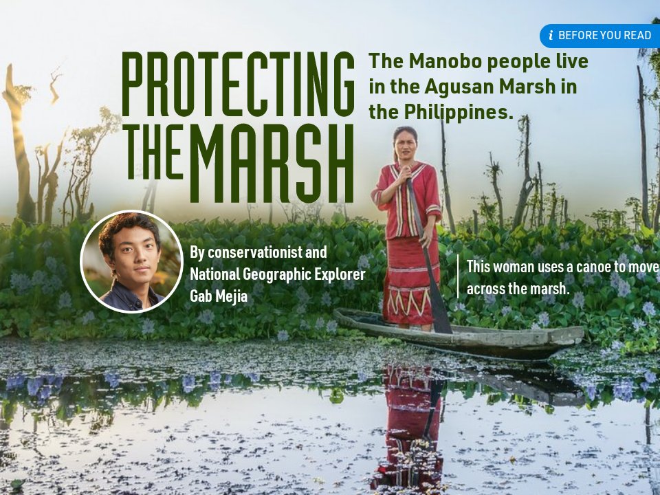 Marshland Dangers & Strength in Community - Protecting the Marsh ...
