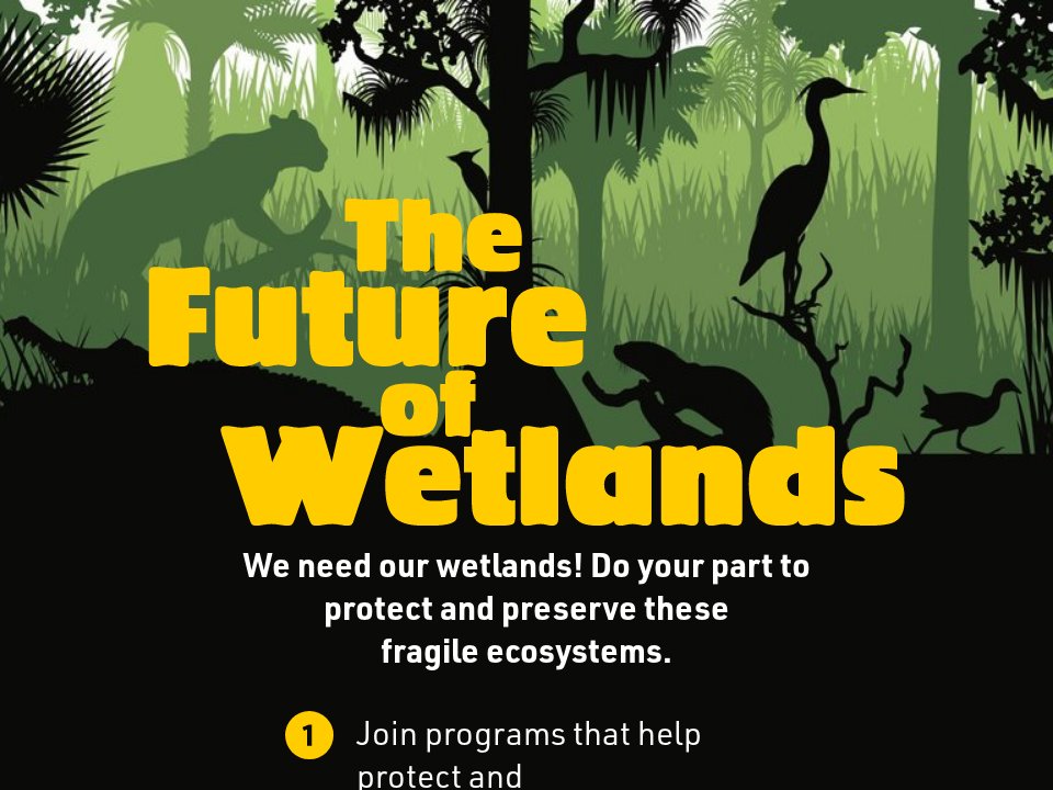 Marshland Dangers & Strength in Community - Protecting the Marsh ...