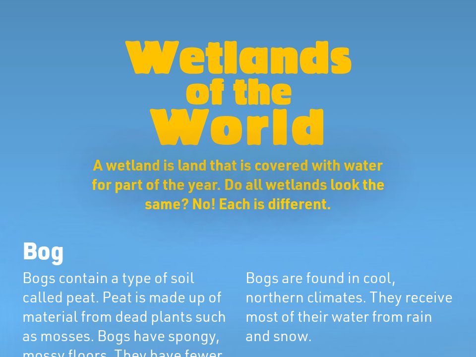 Marshland Dangers & Strength in Community - Protecting the Marsh ...