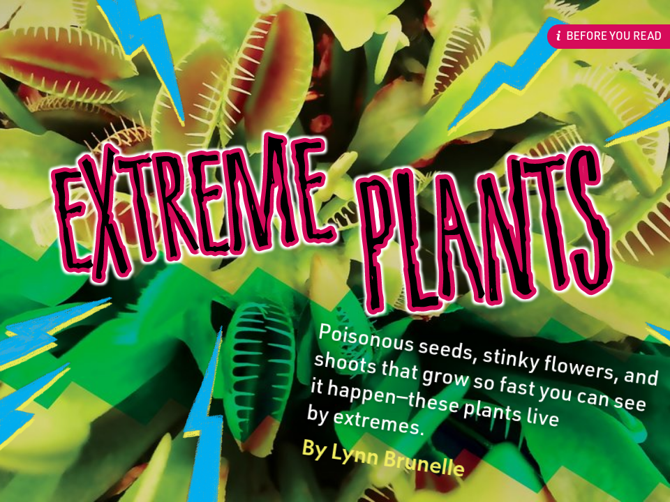 Extreme Plants - Pioneer November/December 2018