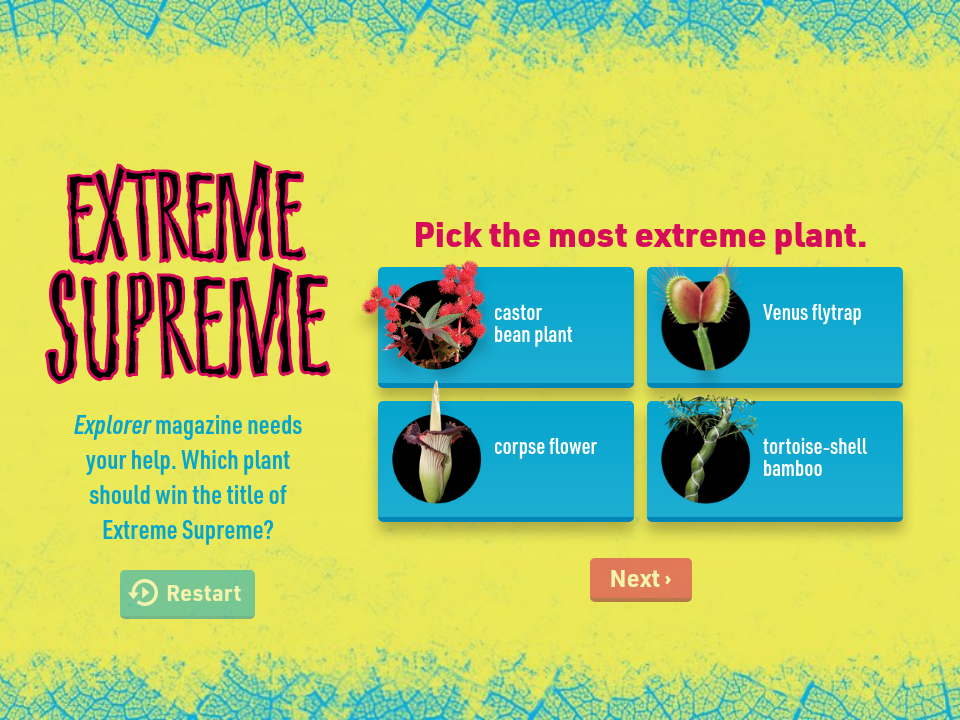 Extreme Supreme - Extreme Plants - Pioneer November/December 2018