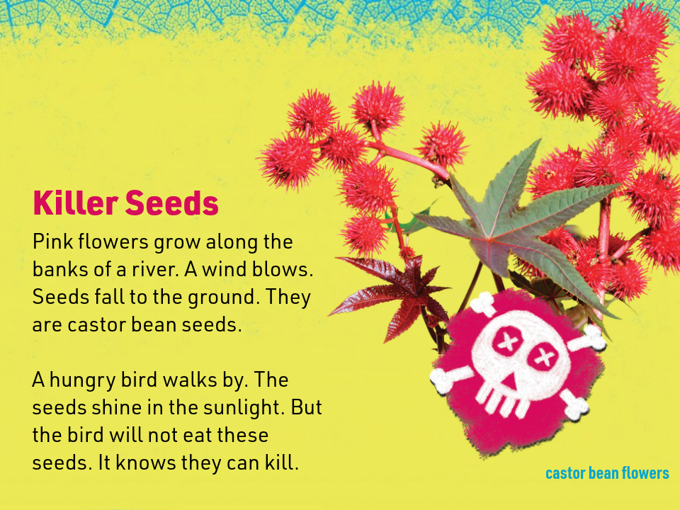 Killer Seeds & The Sting Is the Thing - Extreme Plants - Pioneer ...