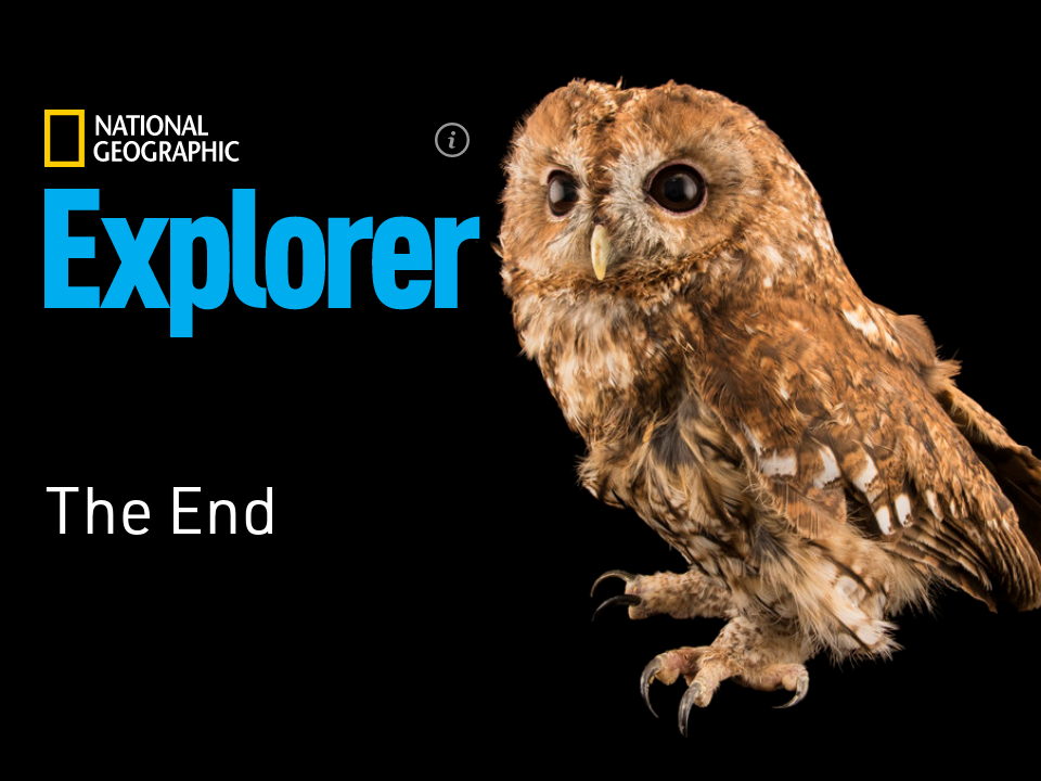 The End - Pioneer October 2018