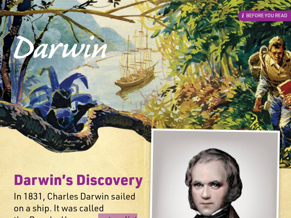 Darwin - Pioneer October 2019