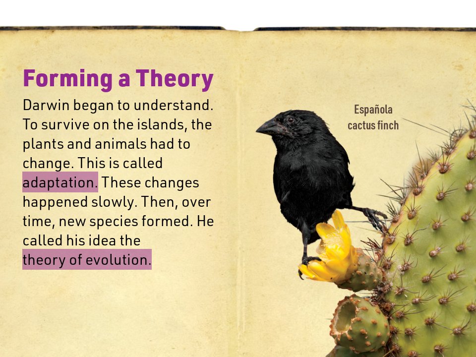 Darwin’s Finches - Darwin - Pioneer October 2019