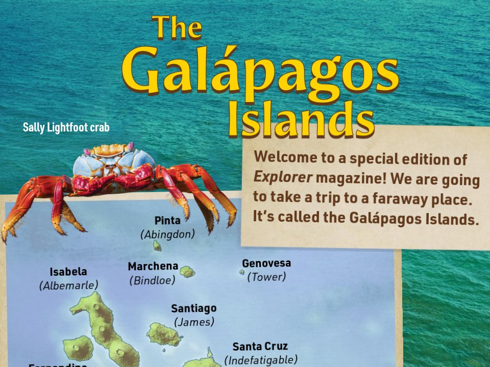 Galápagos The Islands - Pioneer October 2019