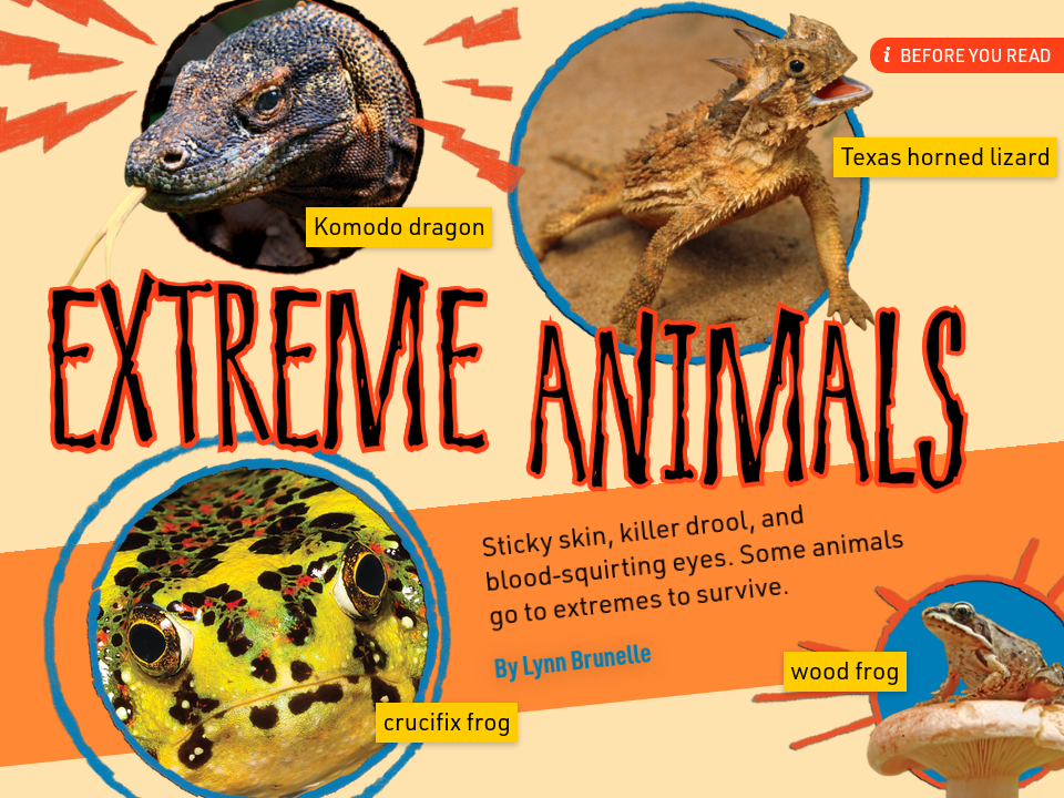 Extreme Animals - Pioneer September 2018