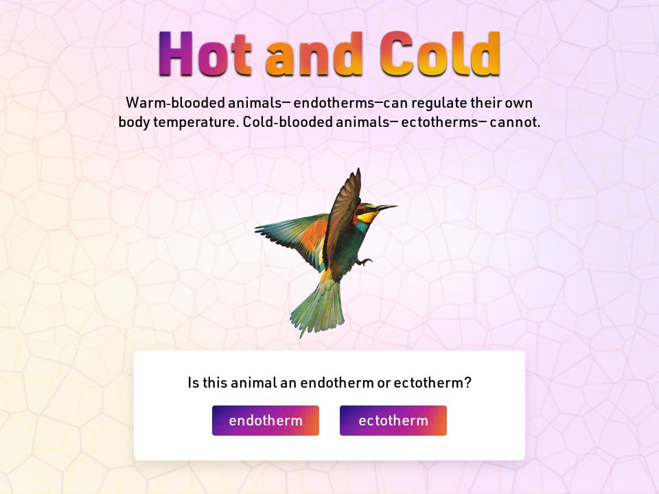 Keep It Steady, How to Beat the Heat, How to Turn Up the Heat ...
