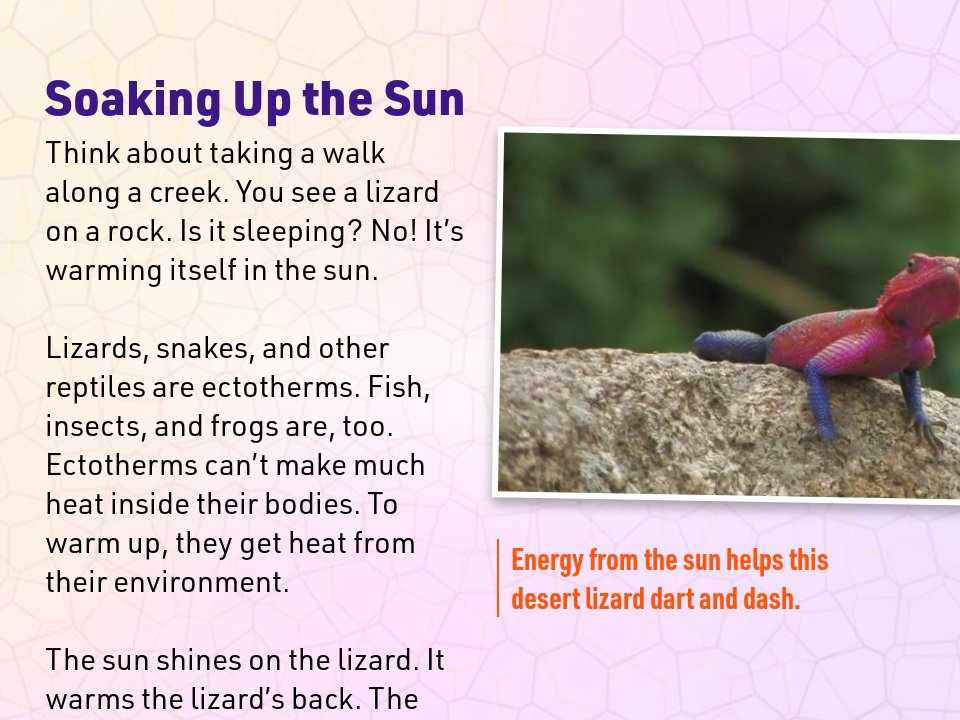 Soaking Up the Sun, Heat From the Inside & What’s In a Name? - Warm Up ...