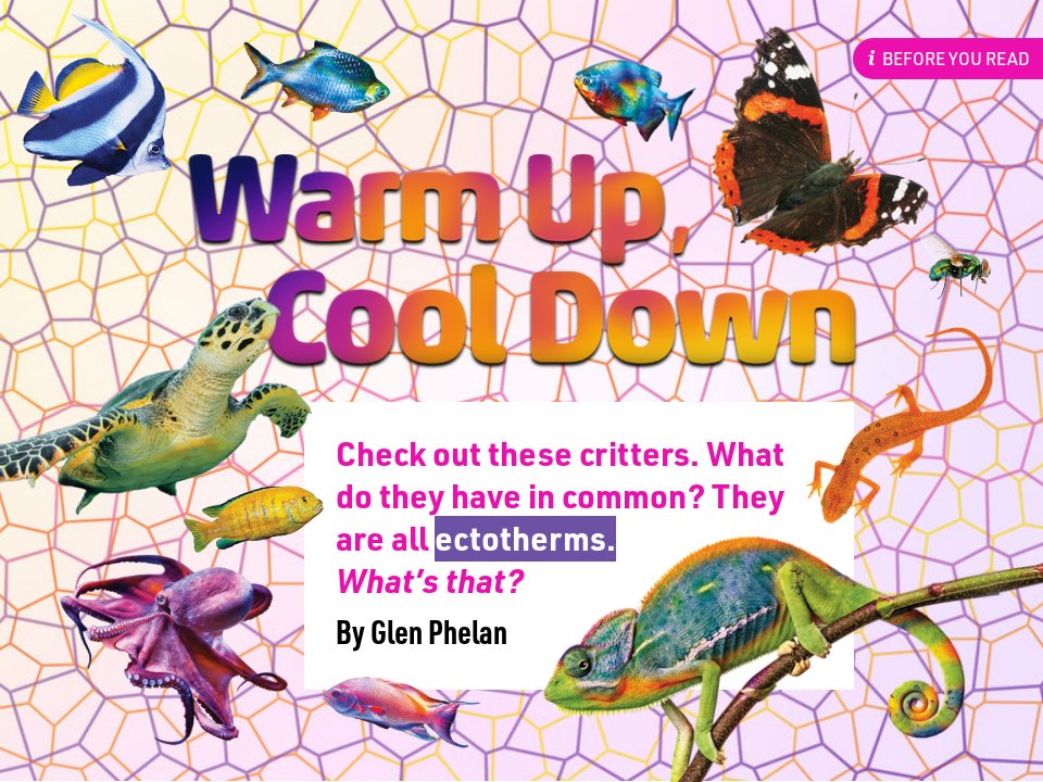 Keep It Steady, How to Beat the Heat, How to Turn Up the Heat ...