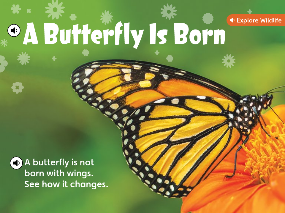 We Need Earth 3 - Scout April 2019