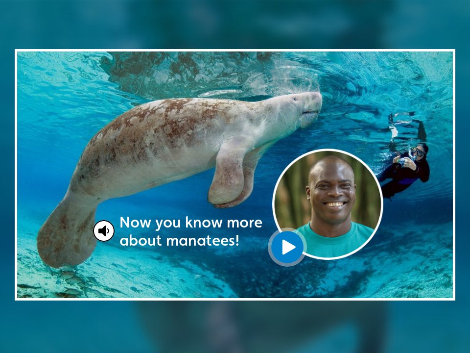 Activity 2 - Scout January/February 2020