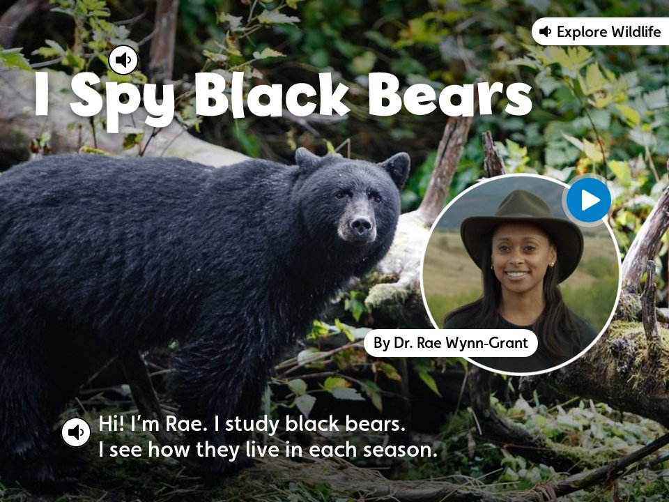 I Spy Black Bears 5 - Scout January/February 2020