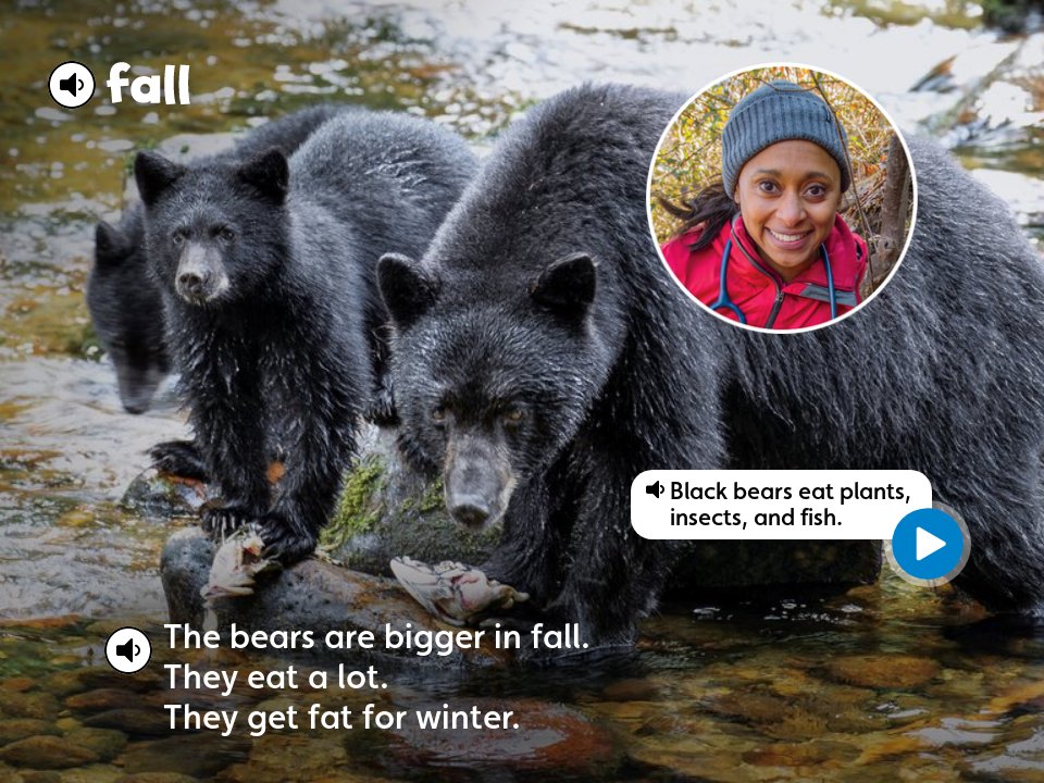 I Spy Black Bears 5 Scout January February 2020