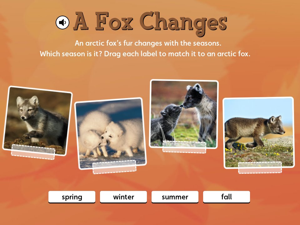 Seasons Change Activity - Scout January/February 2021