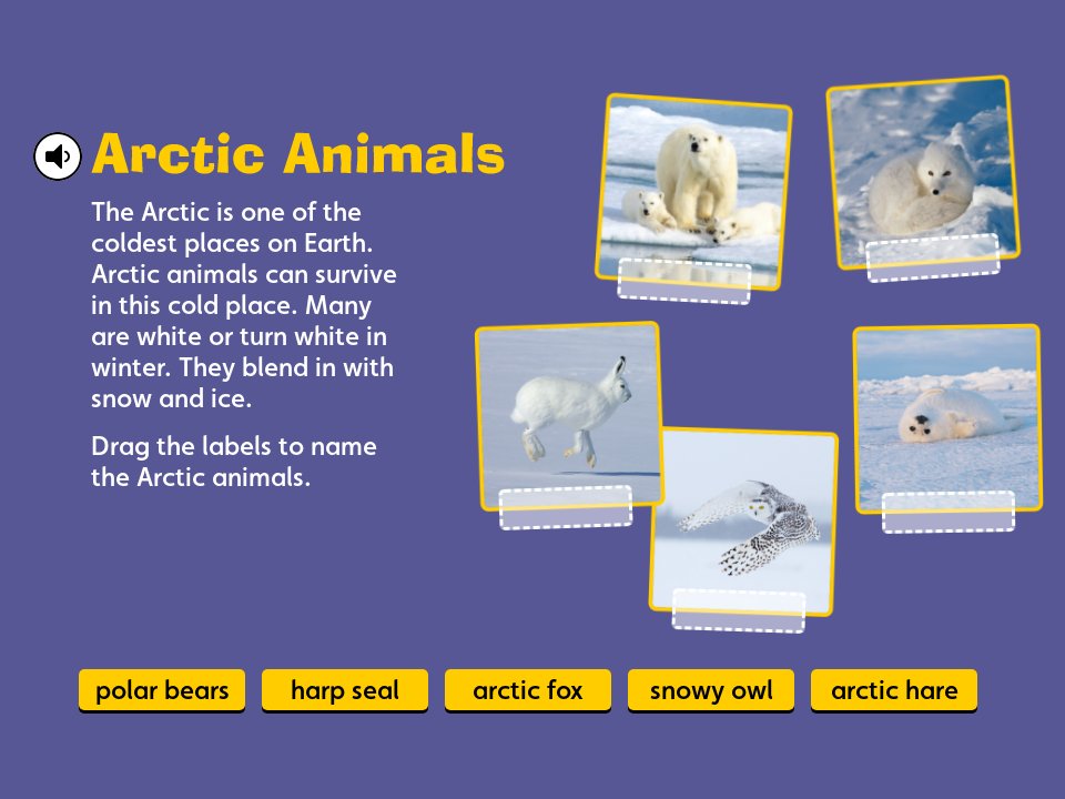 The Arctic Activity - Scout January/February 2021