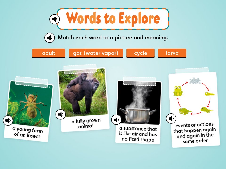 Words to Explore - Scout March 2021