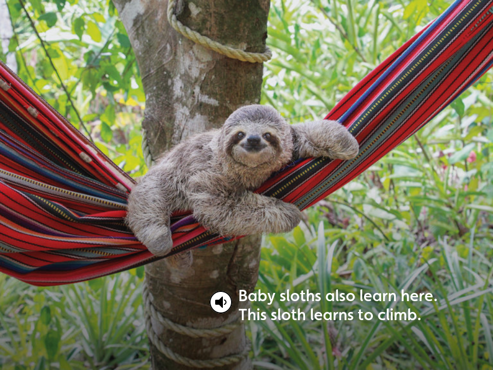 Explore Maps - Scout May 2019