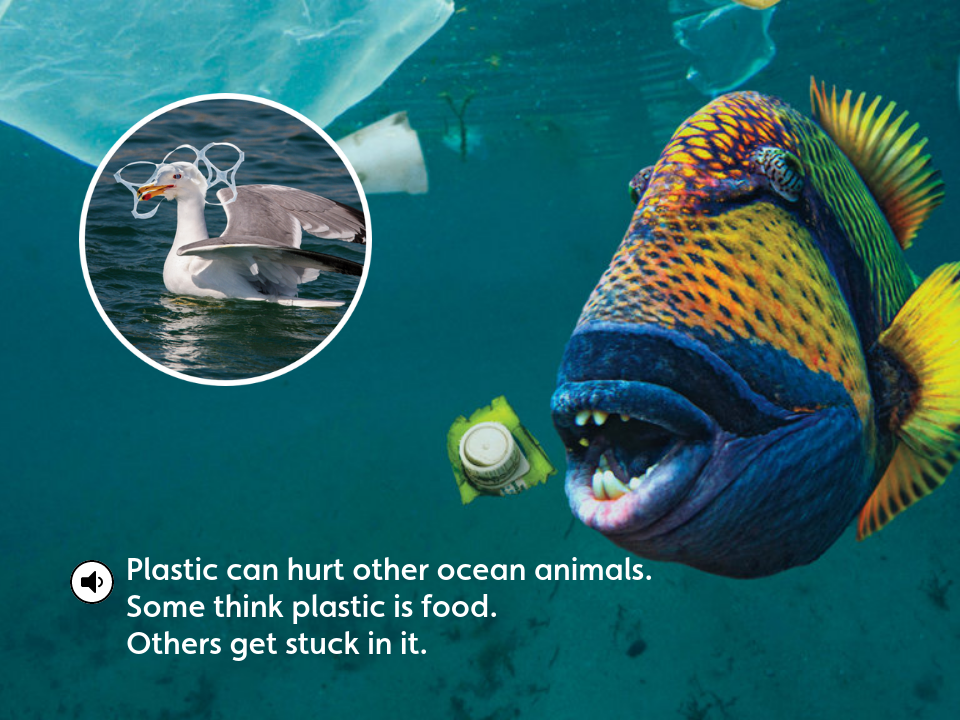 Explore Maps - Scout May 2019