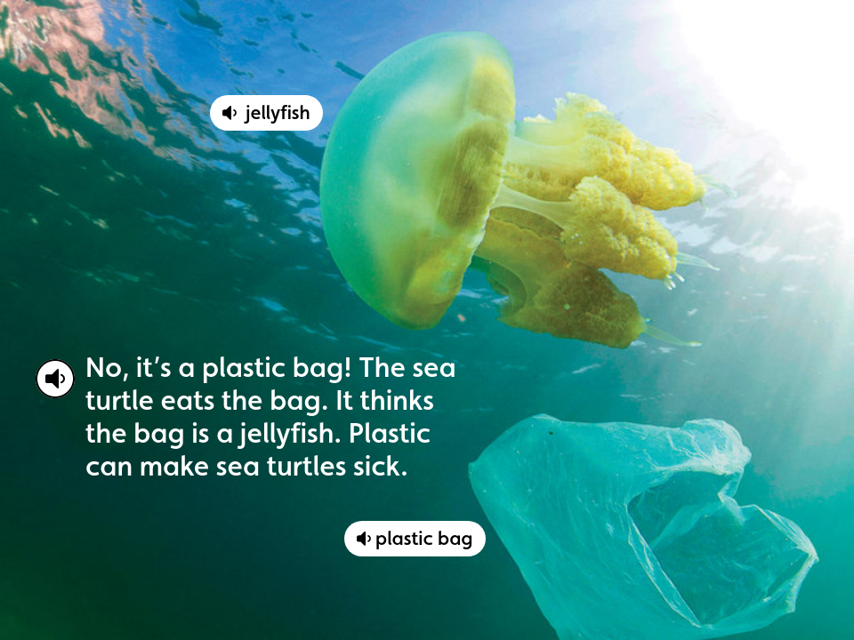 Explore Maps - Scout May 2019