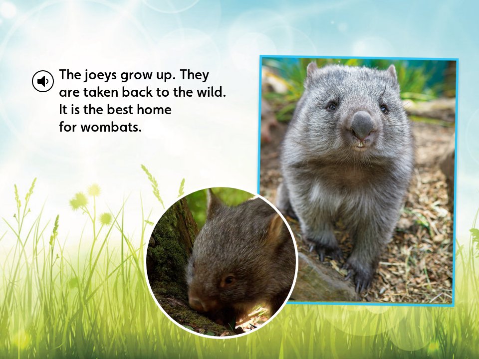 Life in a Box Activity - Scout May 2020