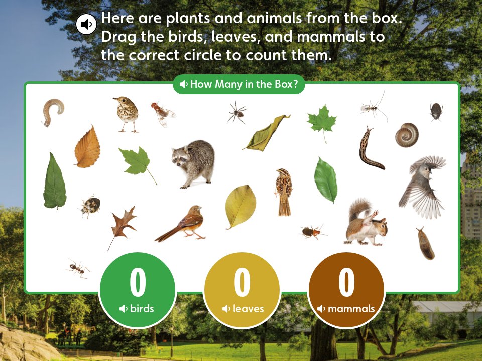 Life in a Box Activity - Scout May 2020