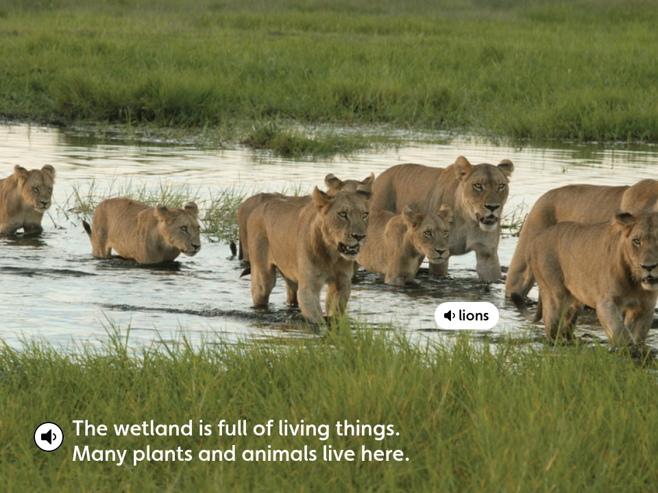 Explore maps - Scout November/December 2018